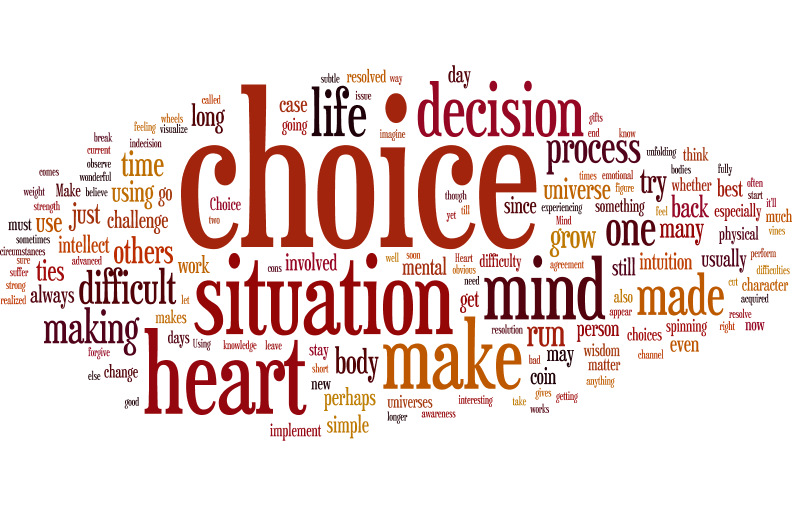 Sylvia-Empowering Choice/Decisions – Sober Synthesis