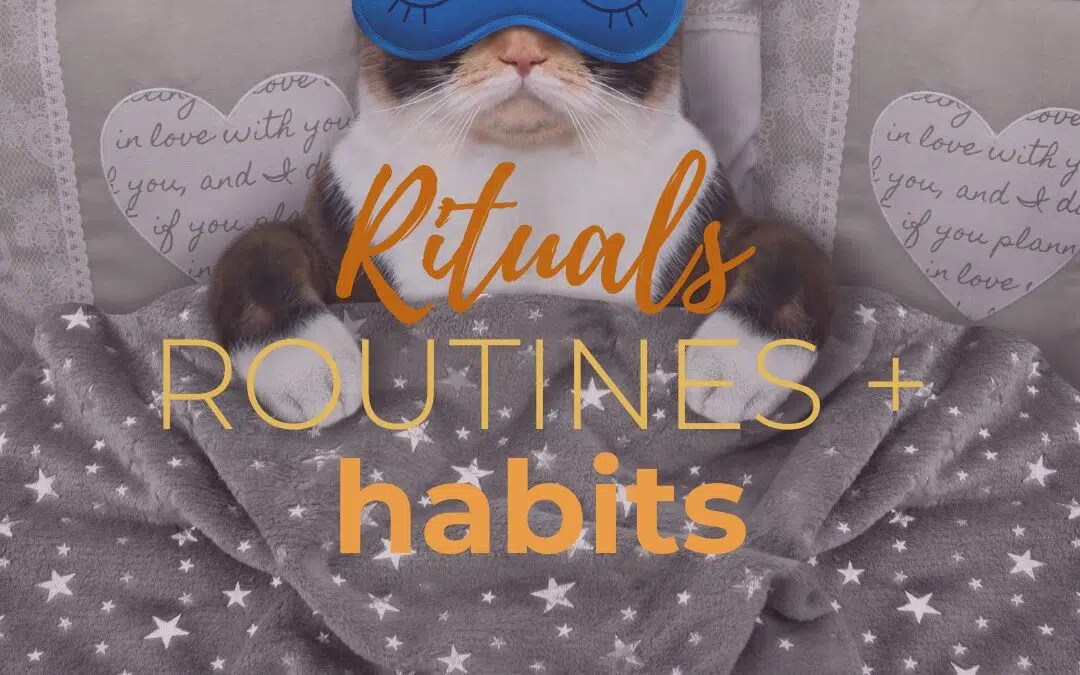 Sylvia-Habits, Routines, and Rituals: Fundamentals to Hardwire ...